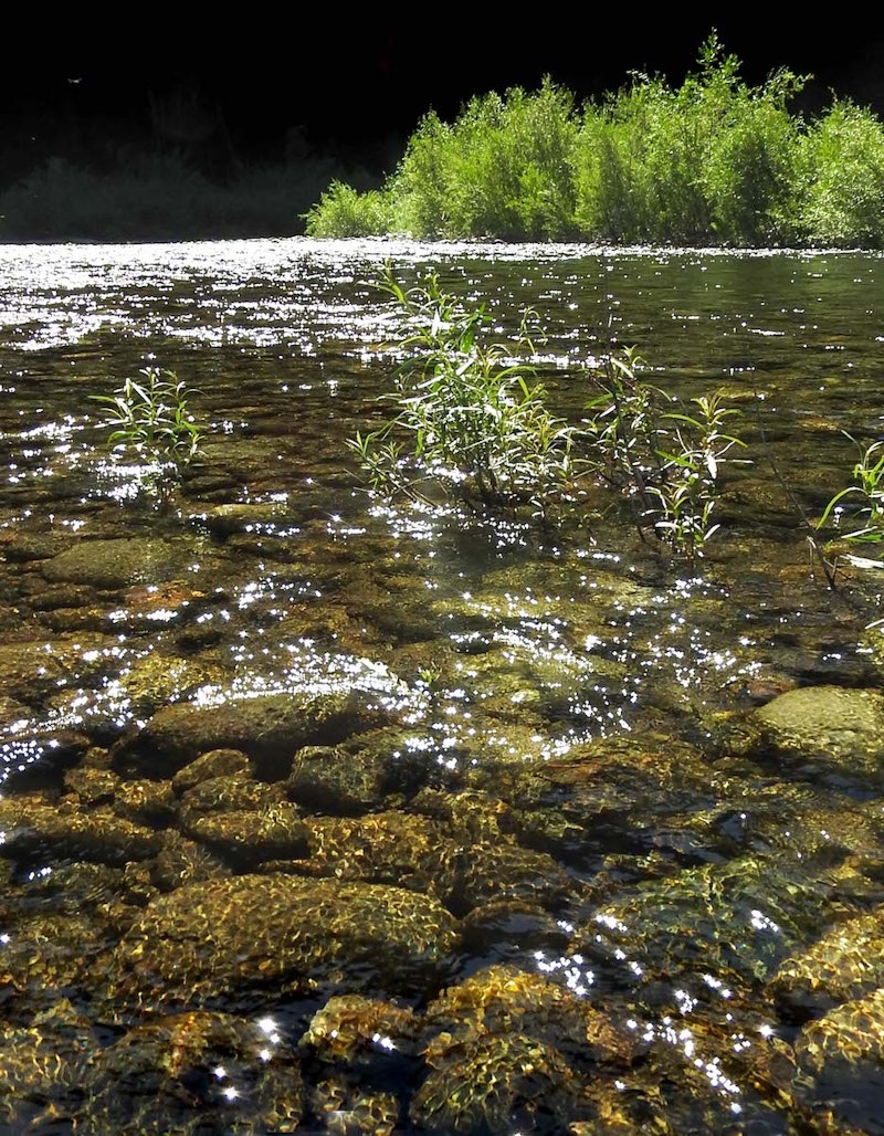 The Mountain Messenger