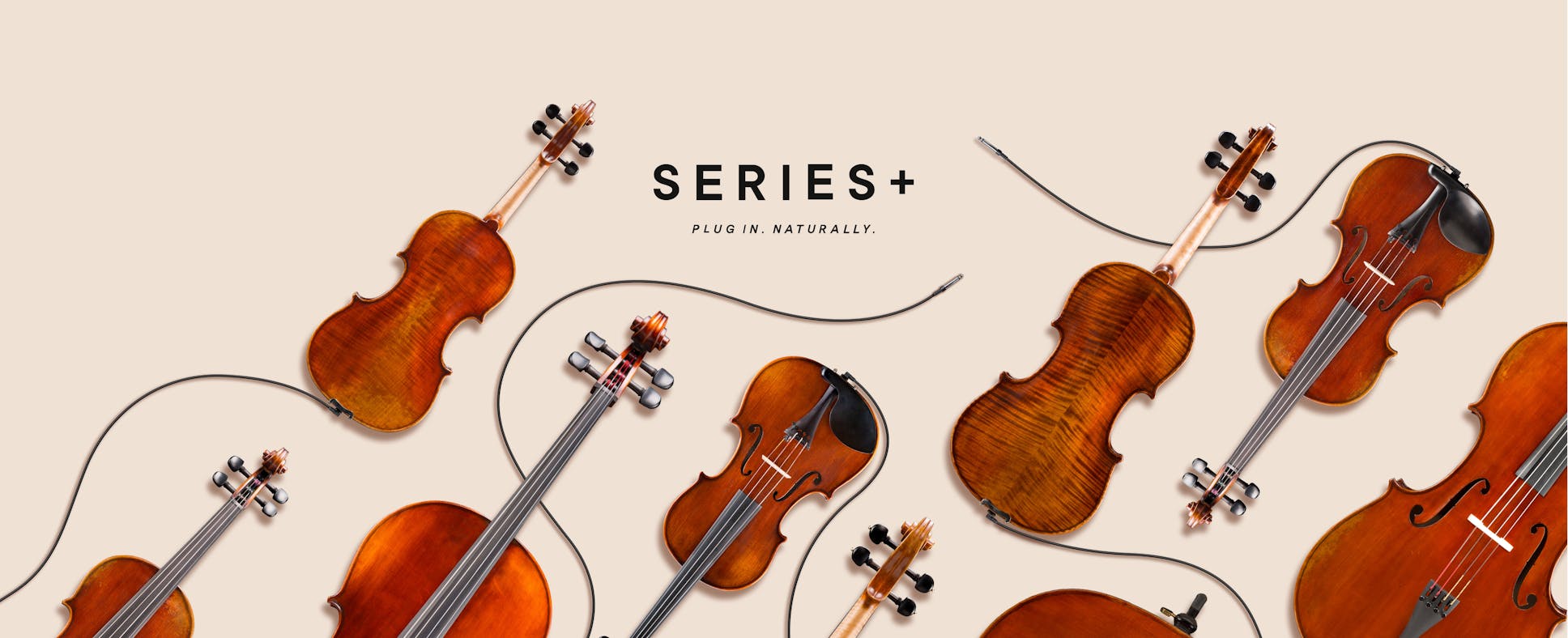 Eastman - Cello - Overview