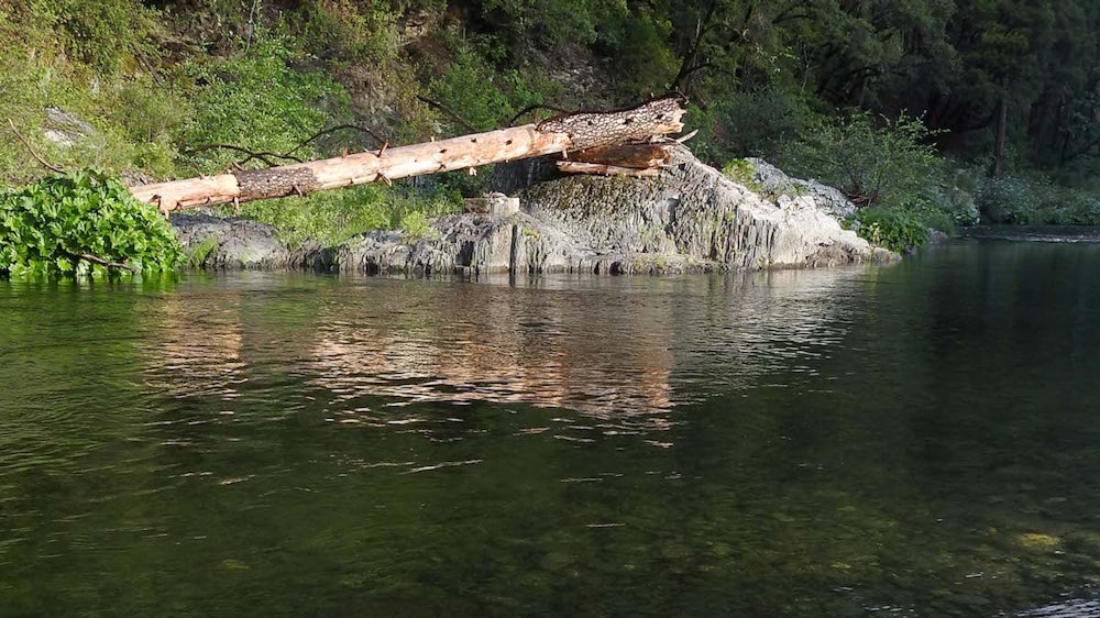 Katie's Sightings | The Mountain Messenger