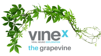 The Grapevine Newsletter | VINEx