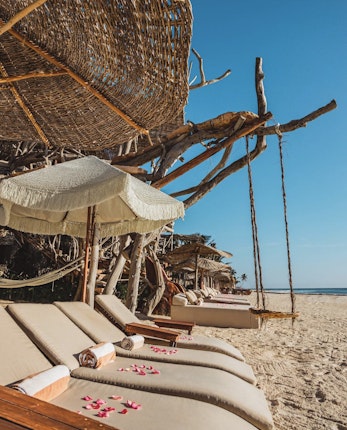 Tulum Beach & Day Clubs. Information & Reservations.