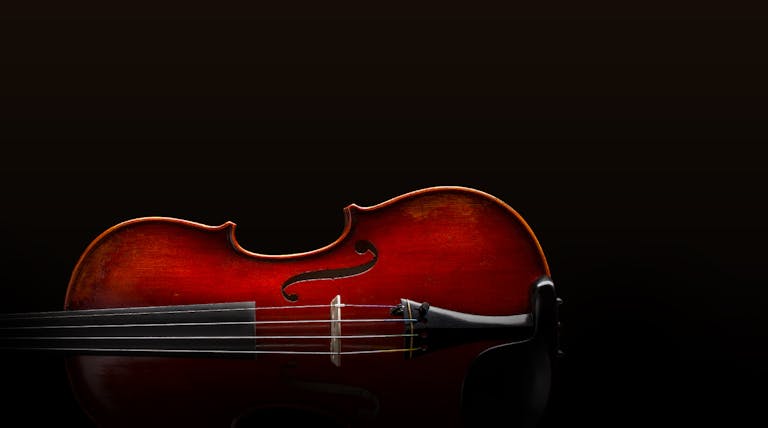 Eastman Albert Nebel VL601 4/4 Violin, 46% OFF