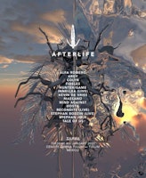 Exploring Tulum's Afterlife. A leading concept shaping the modern party ...