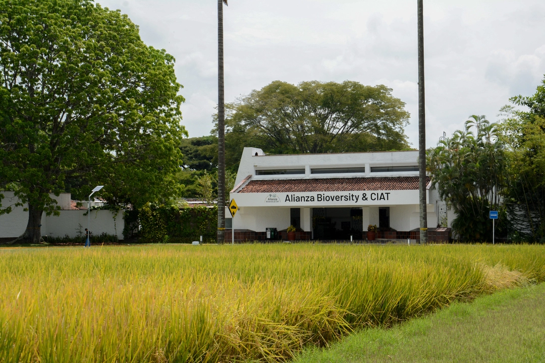 Alianza Bioversity & CIAT | Alianza Biofilia