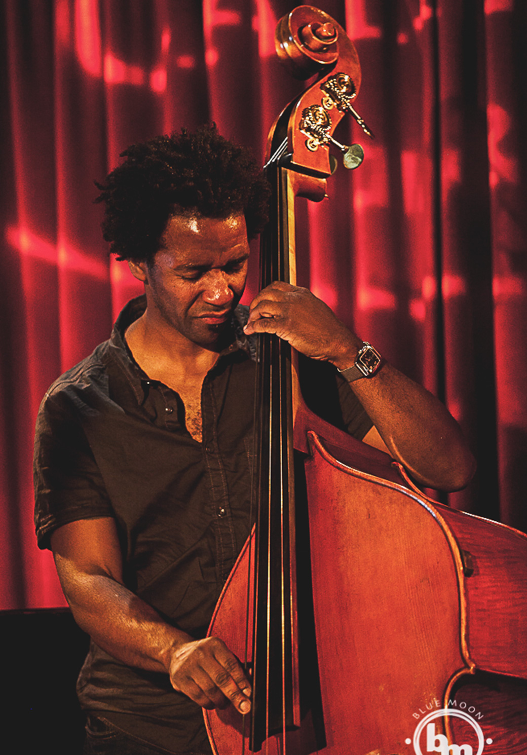 Eastman Artist - Edwin Livingston