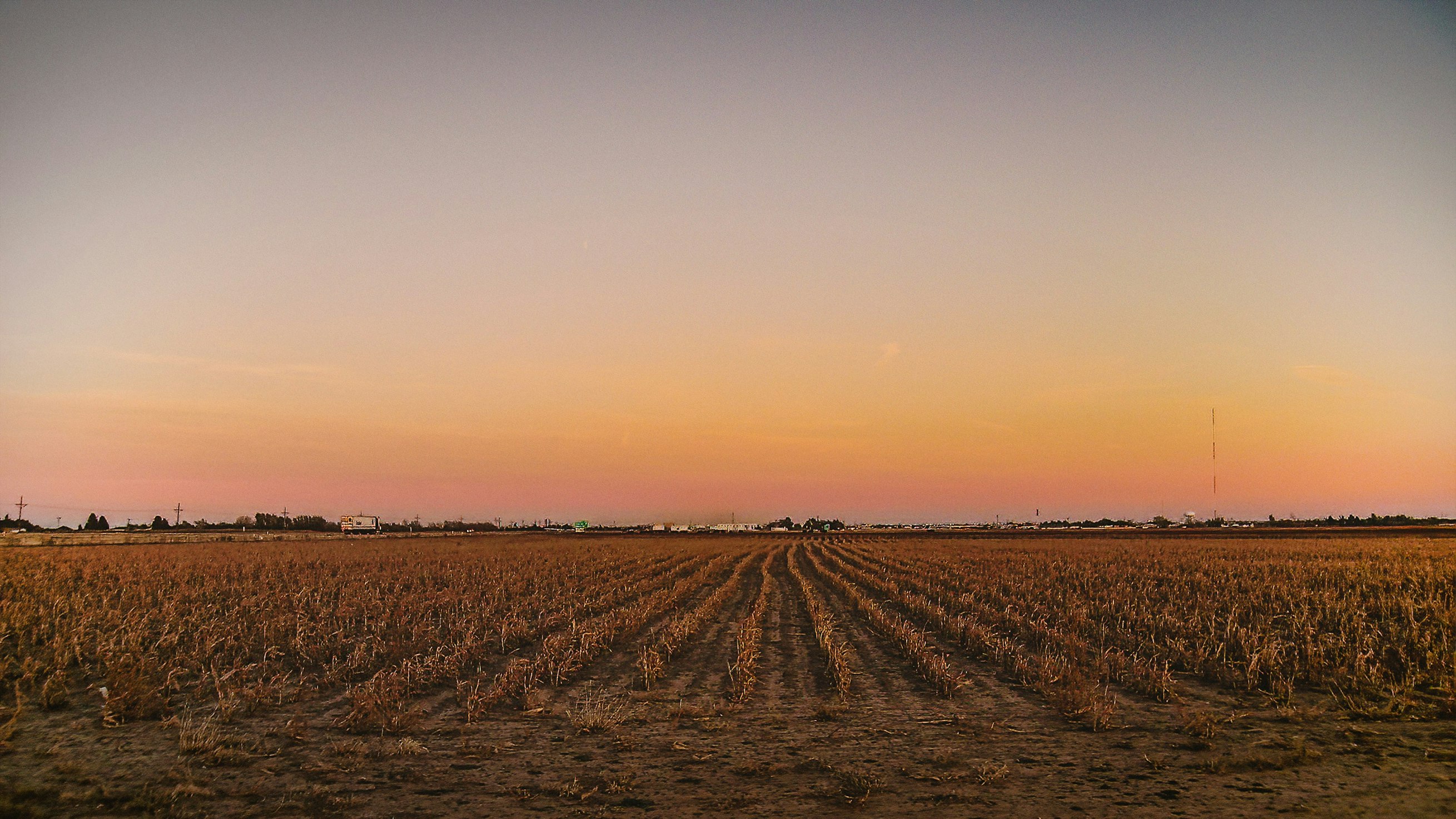 Silo: The Different Crops Grown In Texas