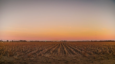 Silo: The Different Crops Grown In Texas