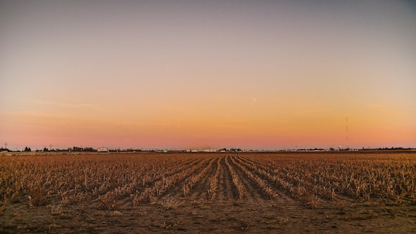 Silo: The Different Crops Grown In Texas