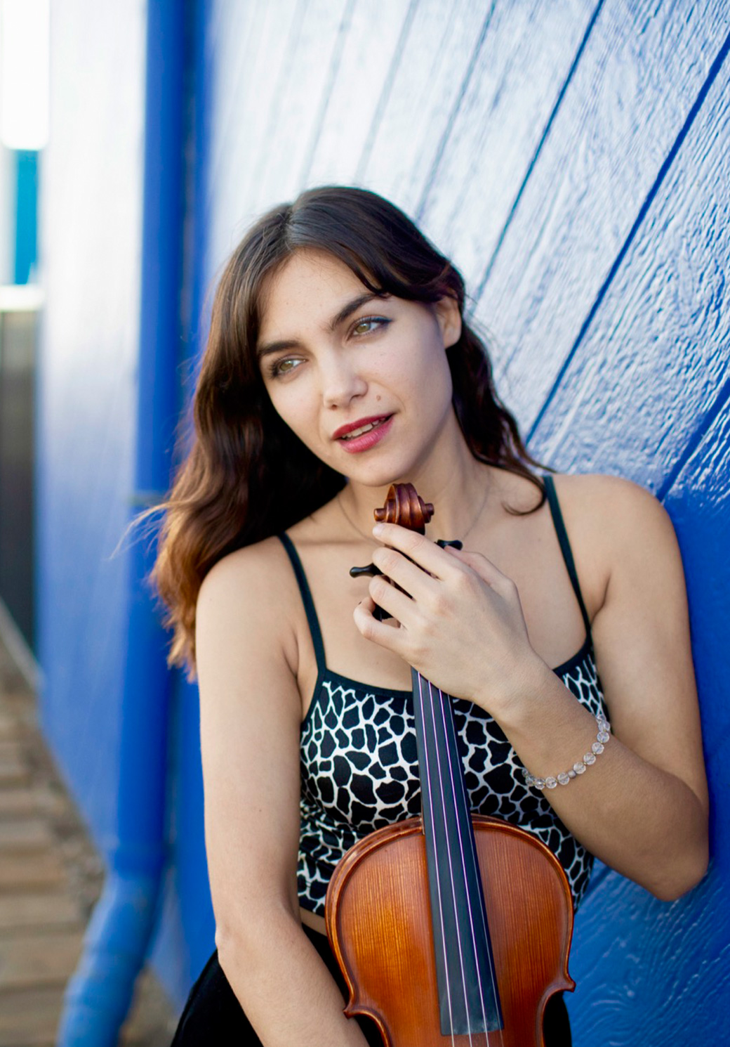 Eastman - Violin - VL80