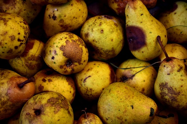 Silo: Managing Vegetable and Fruit Rot Along the Produce Supply Chain