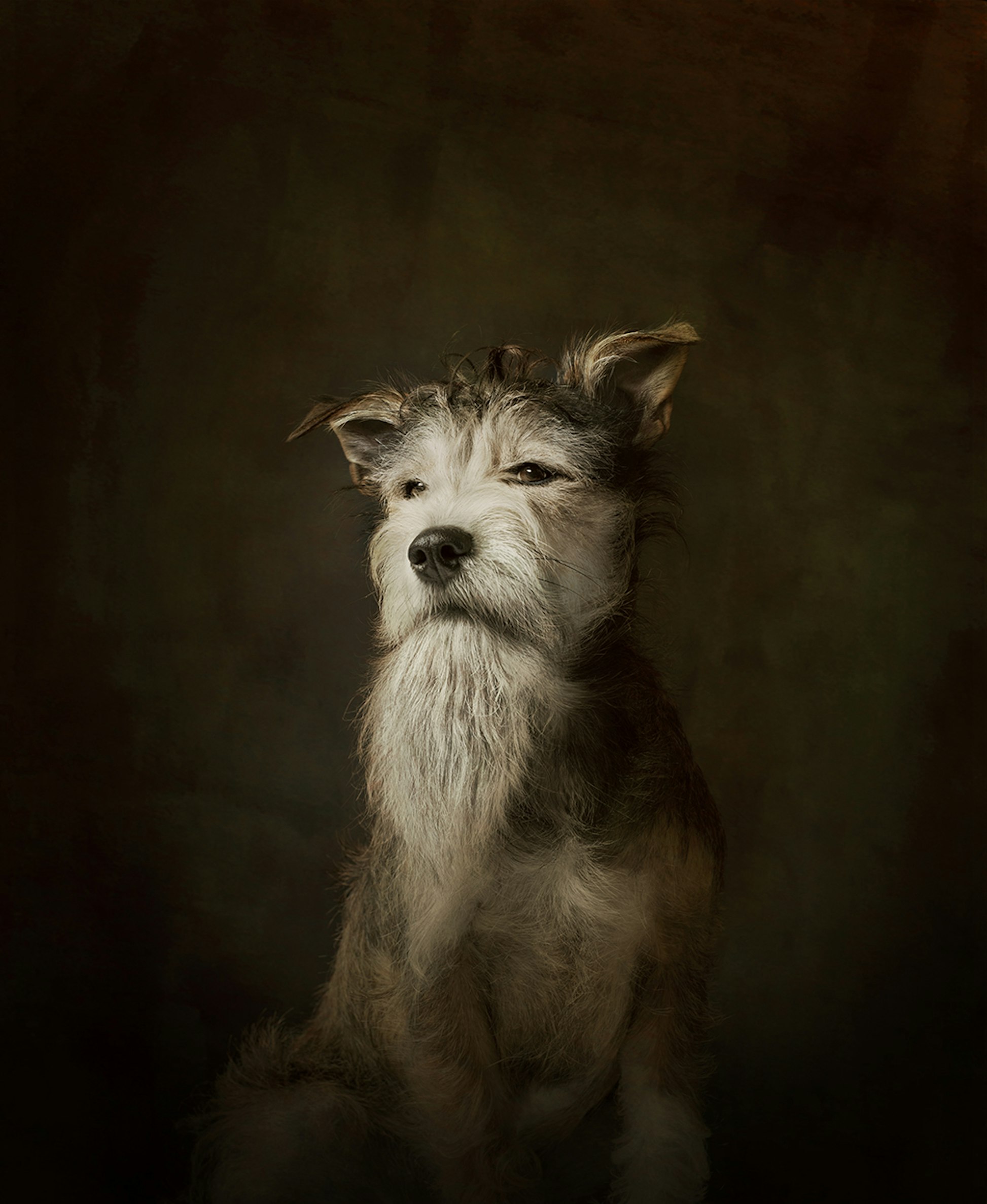 Steven Boniface