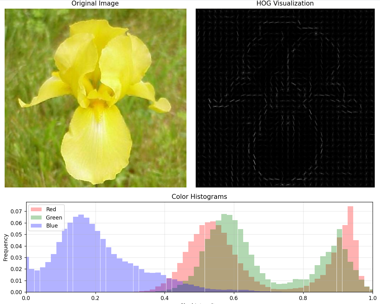Color Meets Shape Using Histograms Of Oriented Gradients And Colors To