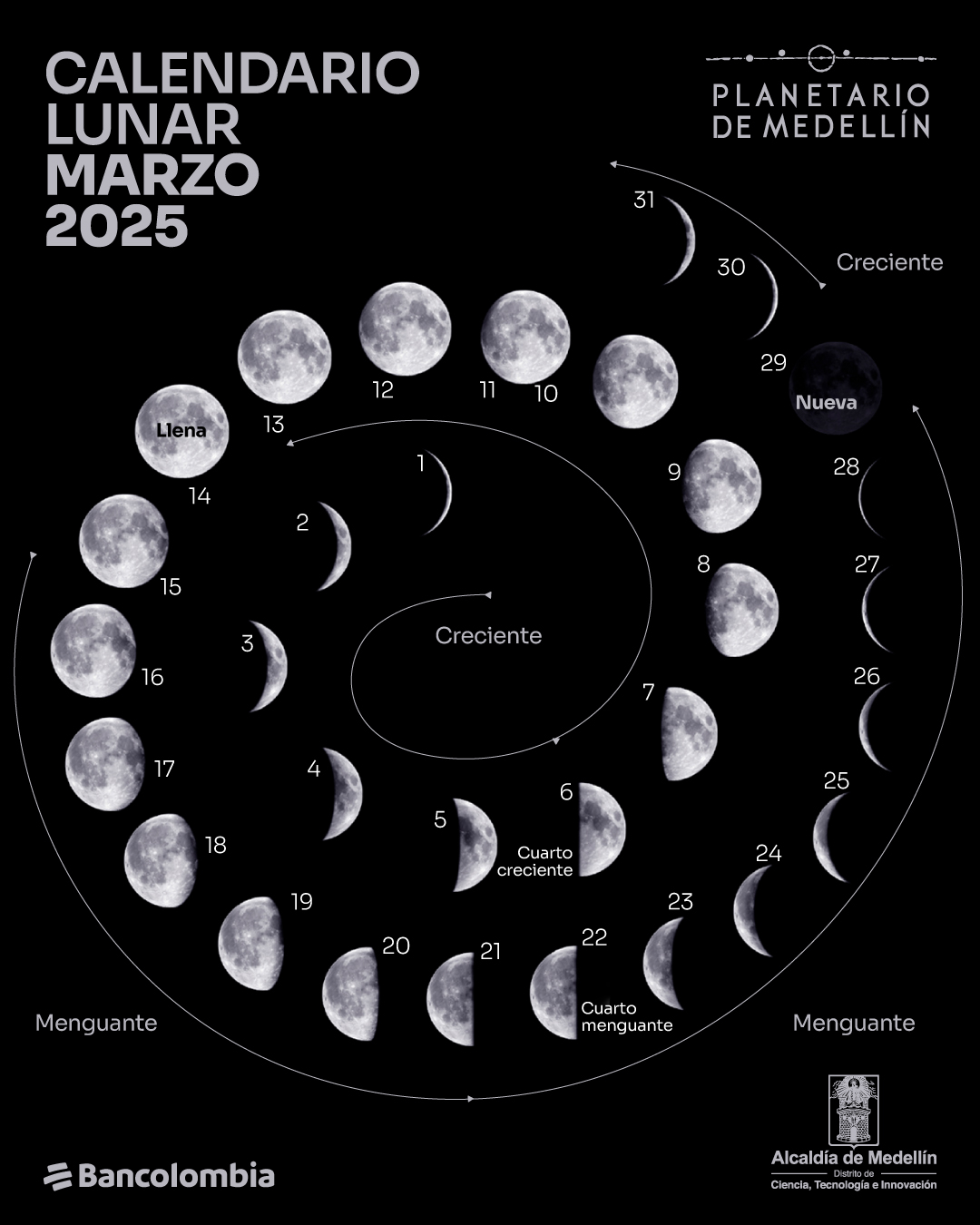 Fases De La Luna Las Fases De La Luna Explicadas Una A Una: Cuáles