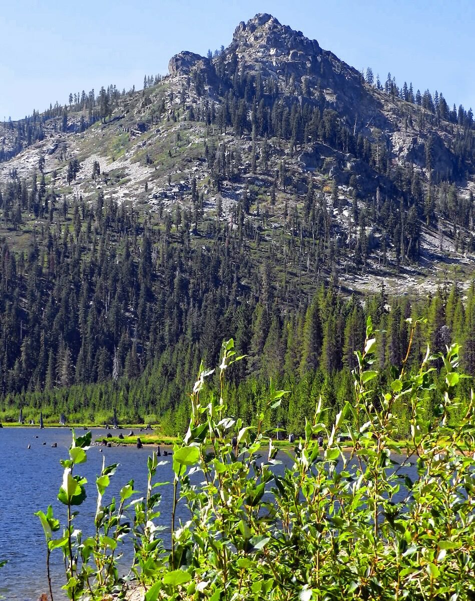 The Mountain Messenger