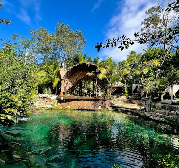 Walk lightly, for the jungle floor is the earth's memory.